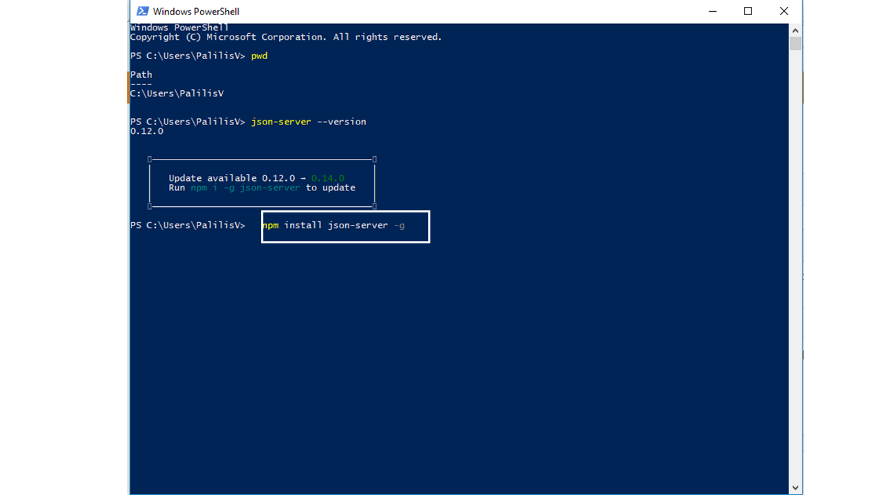 Submodule 22 2 Setting Up A Server Using Json server